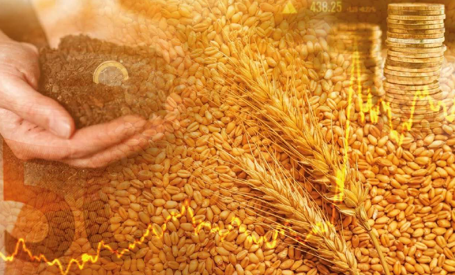 Agro-Commodities - IEB